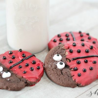 Easy Ladybug Cookies - SheSaved®
